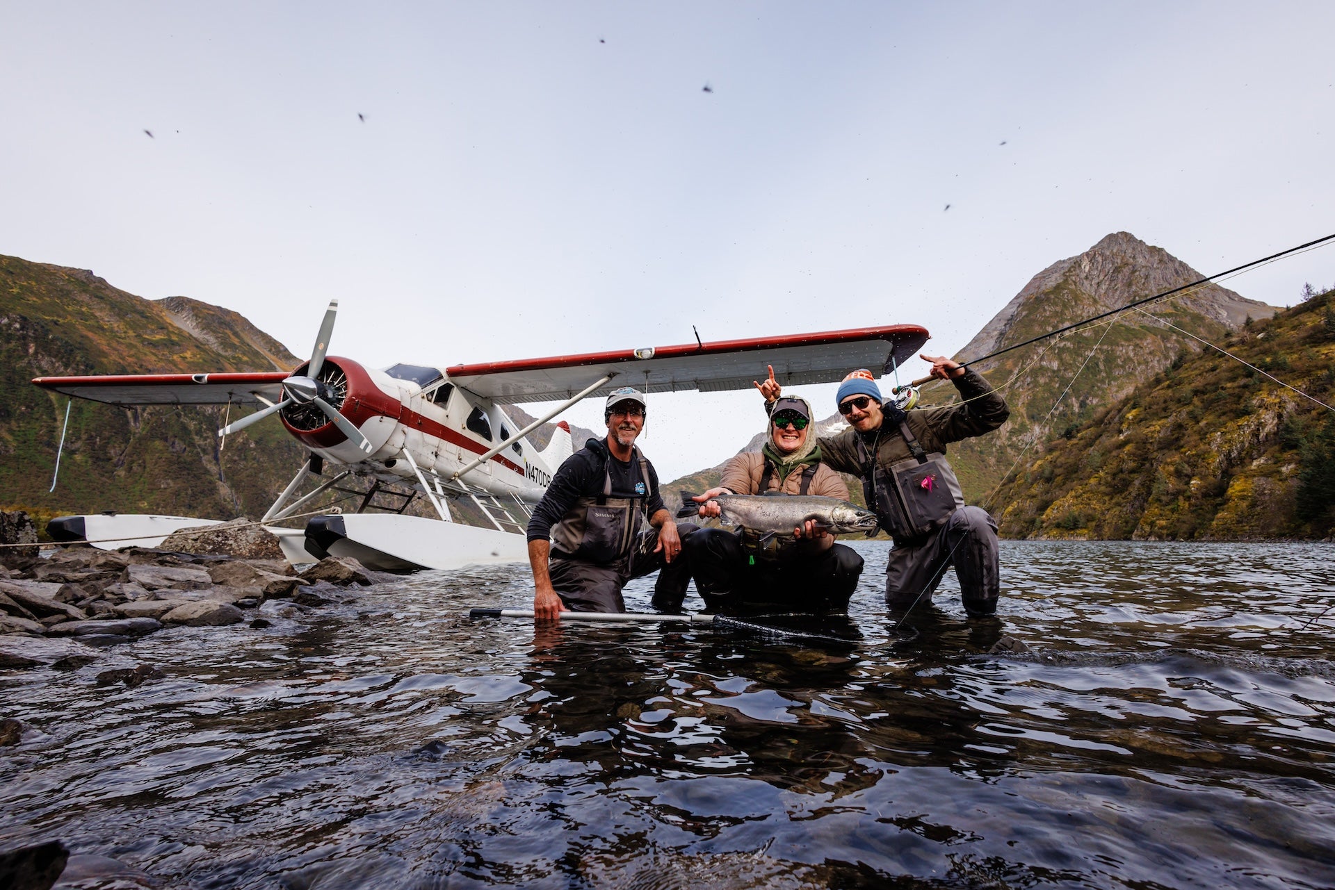 Wild Fly Productions