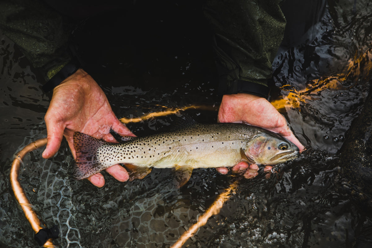 Hope And High Water - The Movie – Wild Fly Productions