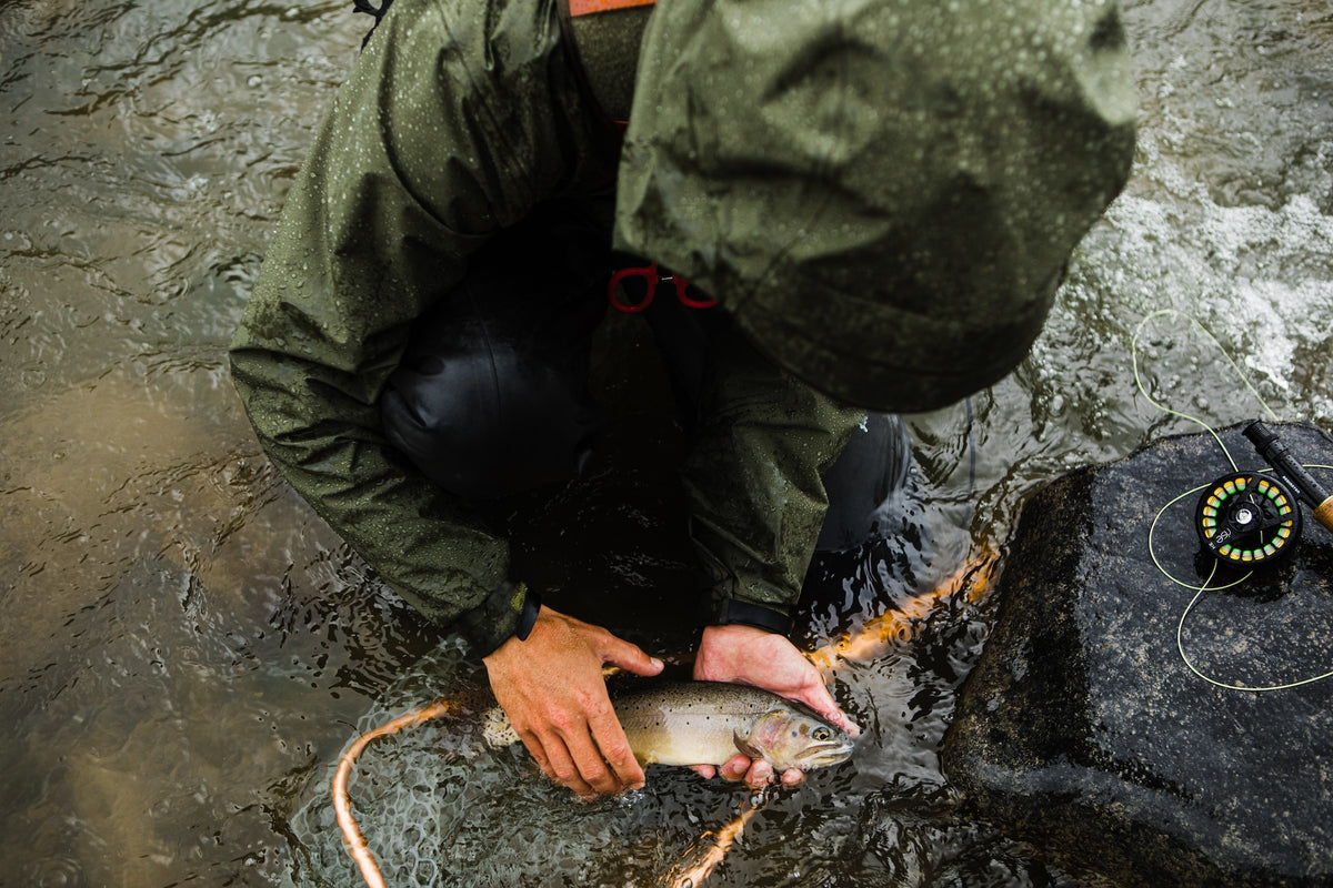 Wild Fly Productions