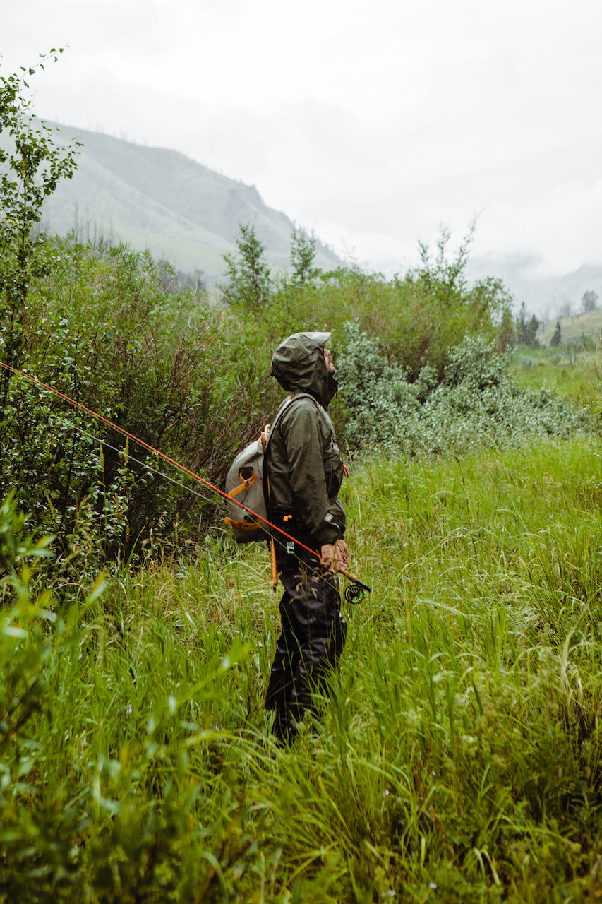 Wild Fly Productions