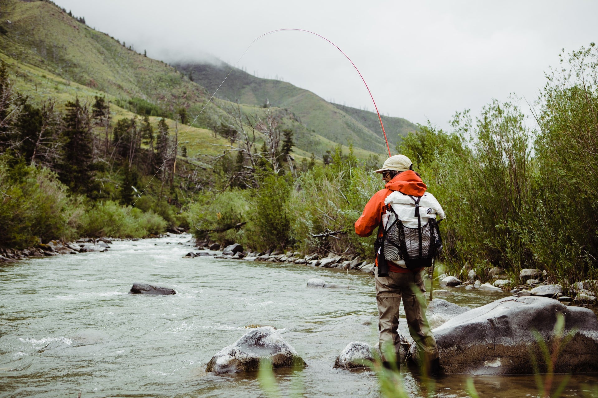 Wild Fly Productions