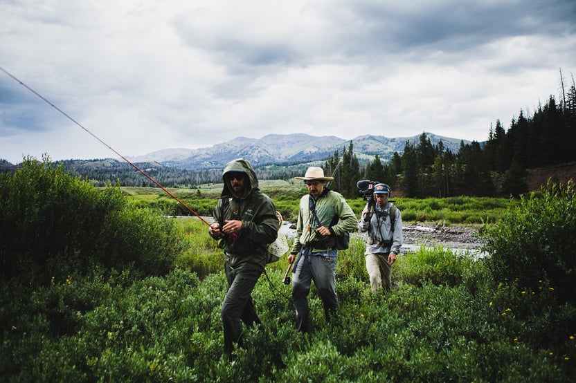 Wild Fly Productions