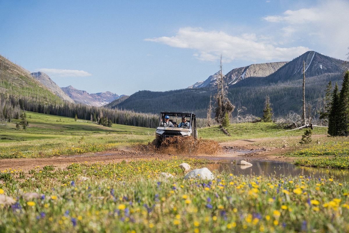 Wild Fly Productions