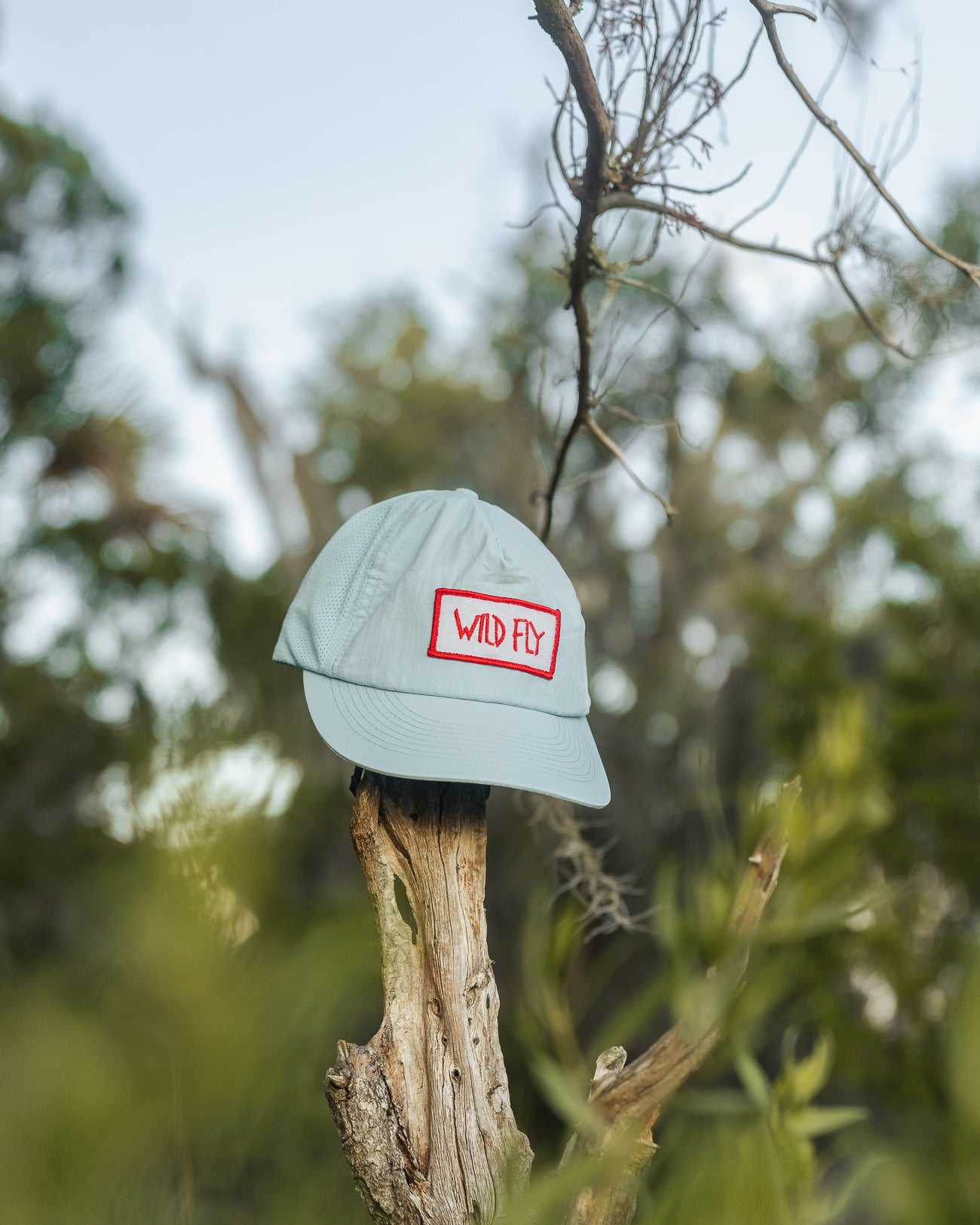 Wild Fly Productions