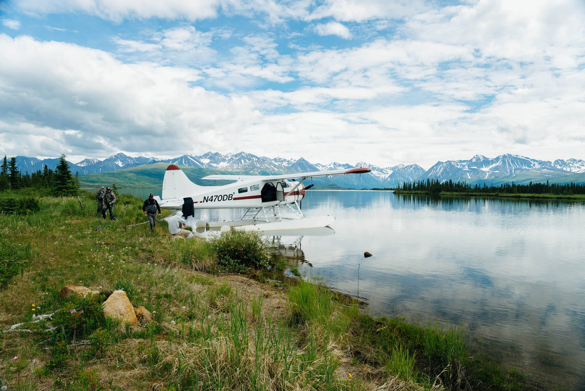 Wild Fly Productions