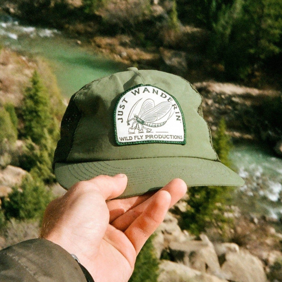 Wild Fly Productions