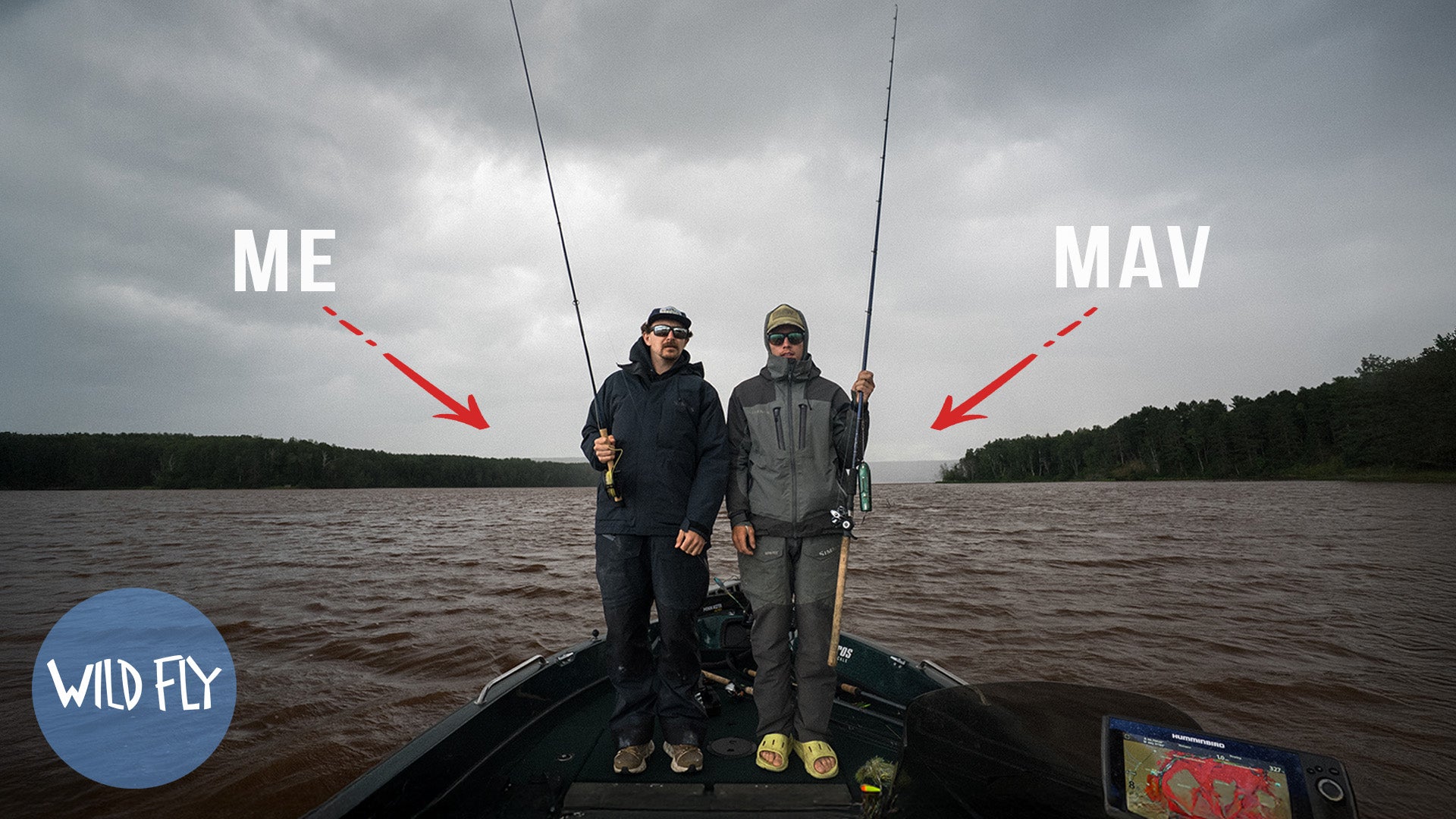 Wild Fly Productions