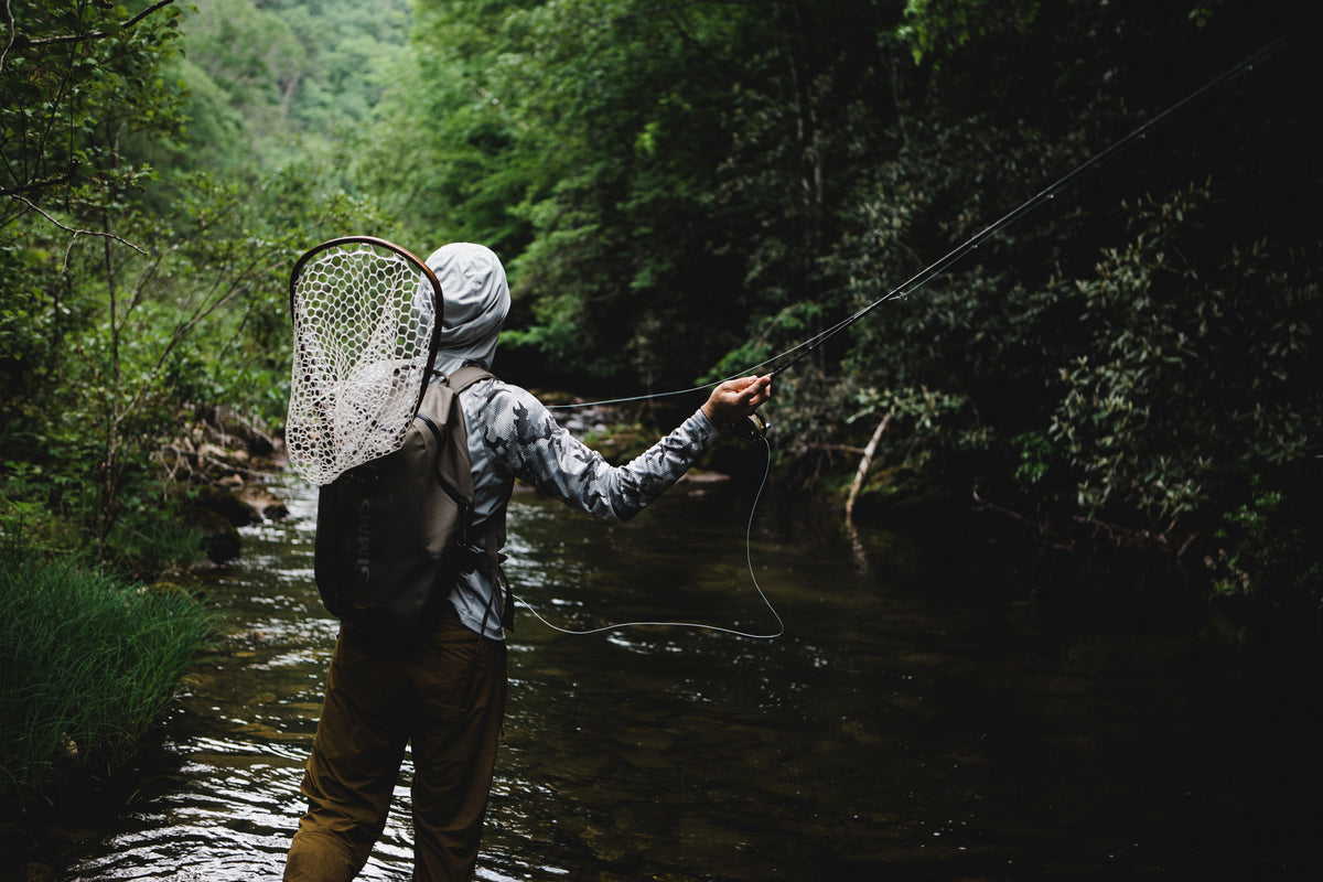 Wild Fly Productions