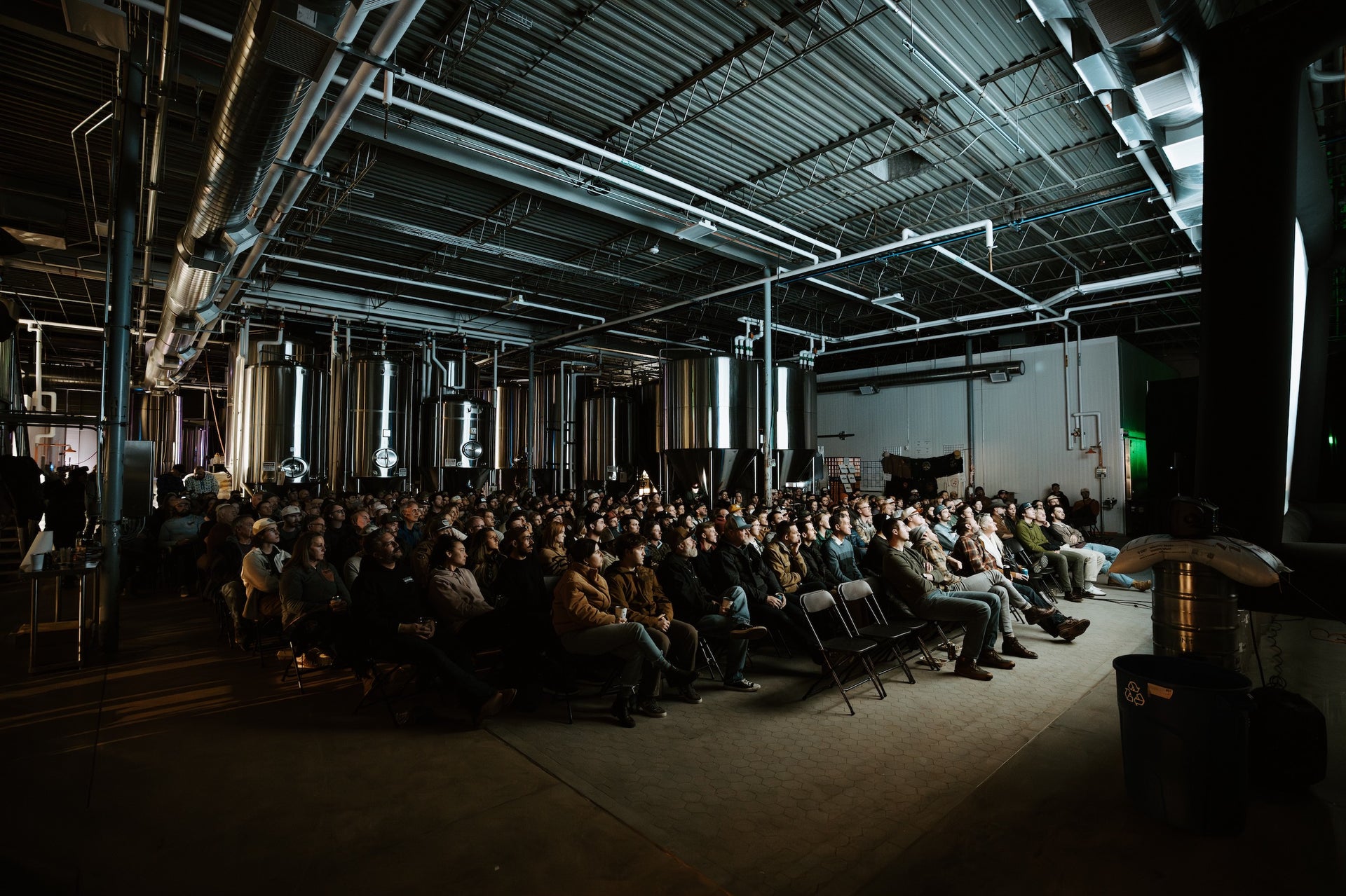 Wild Fly Productions