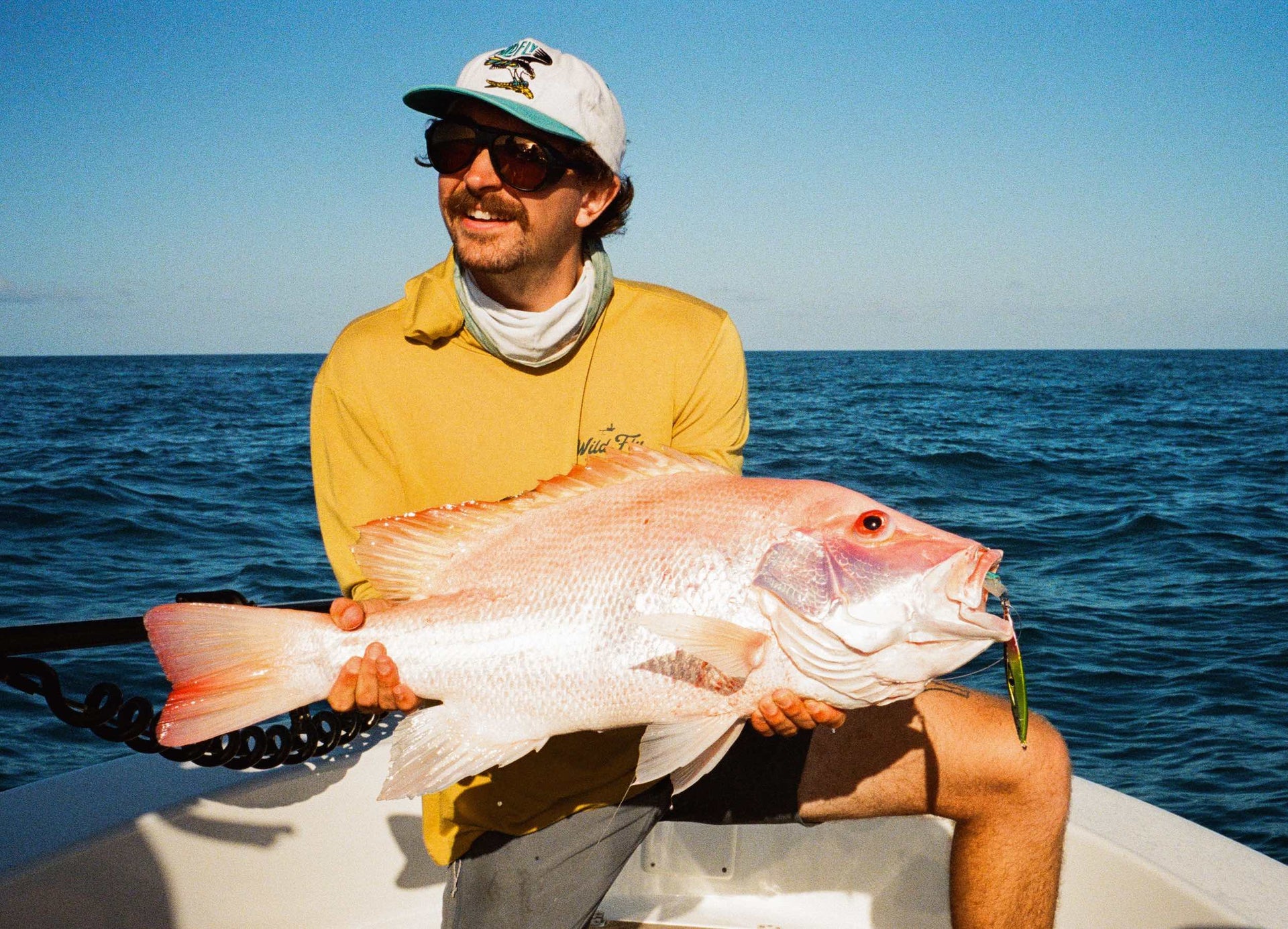 Wild Fly Productions